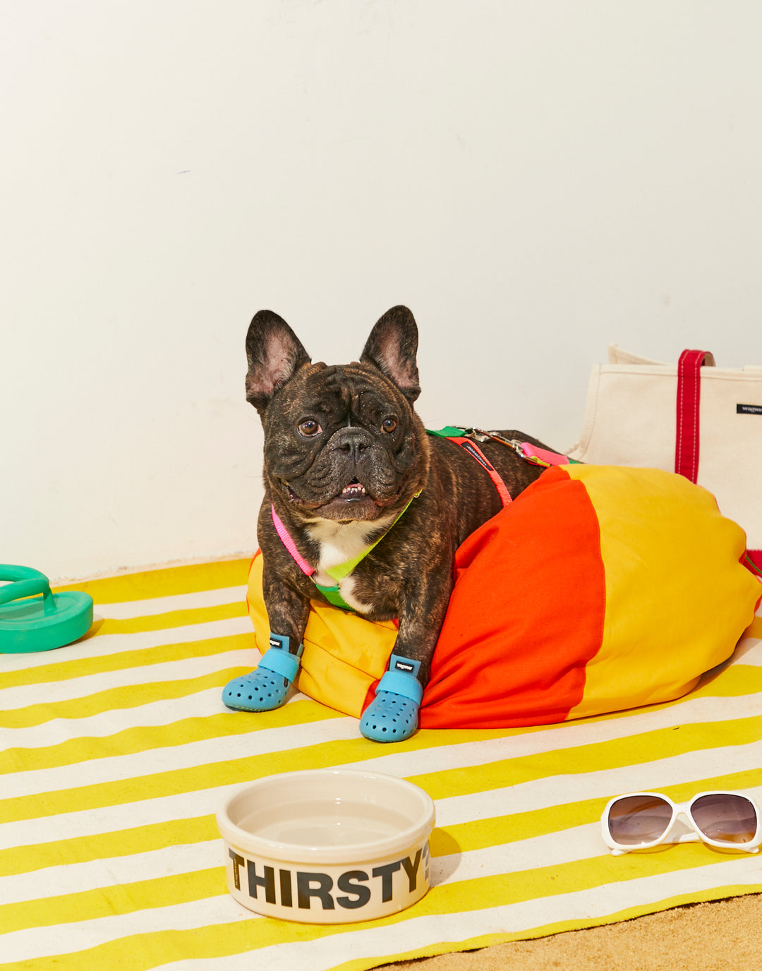 เบาะนอน Beach Ball Bed - Orange/Yellow – TANK TINKER