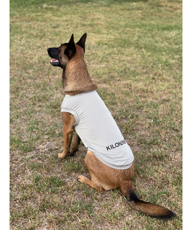 Products – TANK TINKER