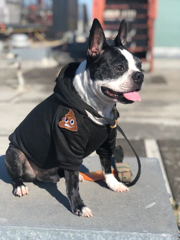 ป้ายติดชุดตีนตุ๊กแก STINKY POOP Morale Patch – TANK TINKER