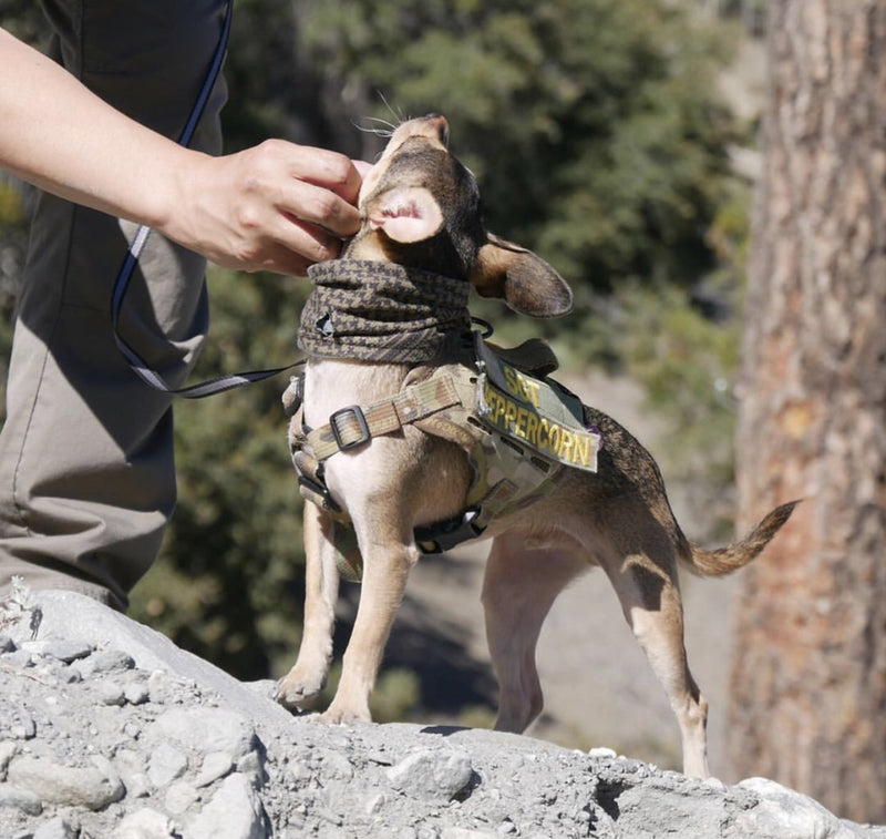 Cooling Shemagh Scarf