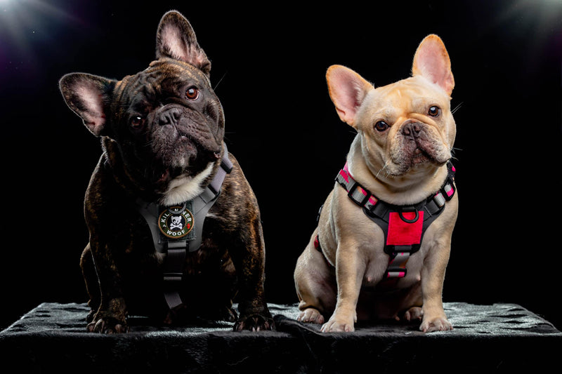 Mini Dog and Crossbones Patch - Morale Patch