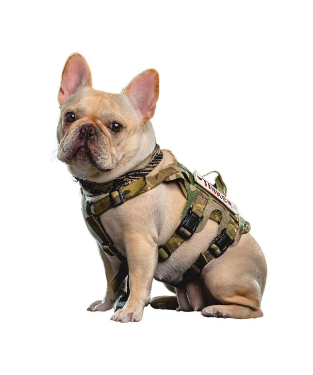 WORKS' COLLECTION – TANK TINKER