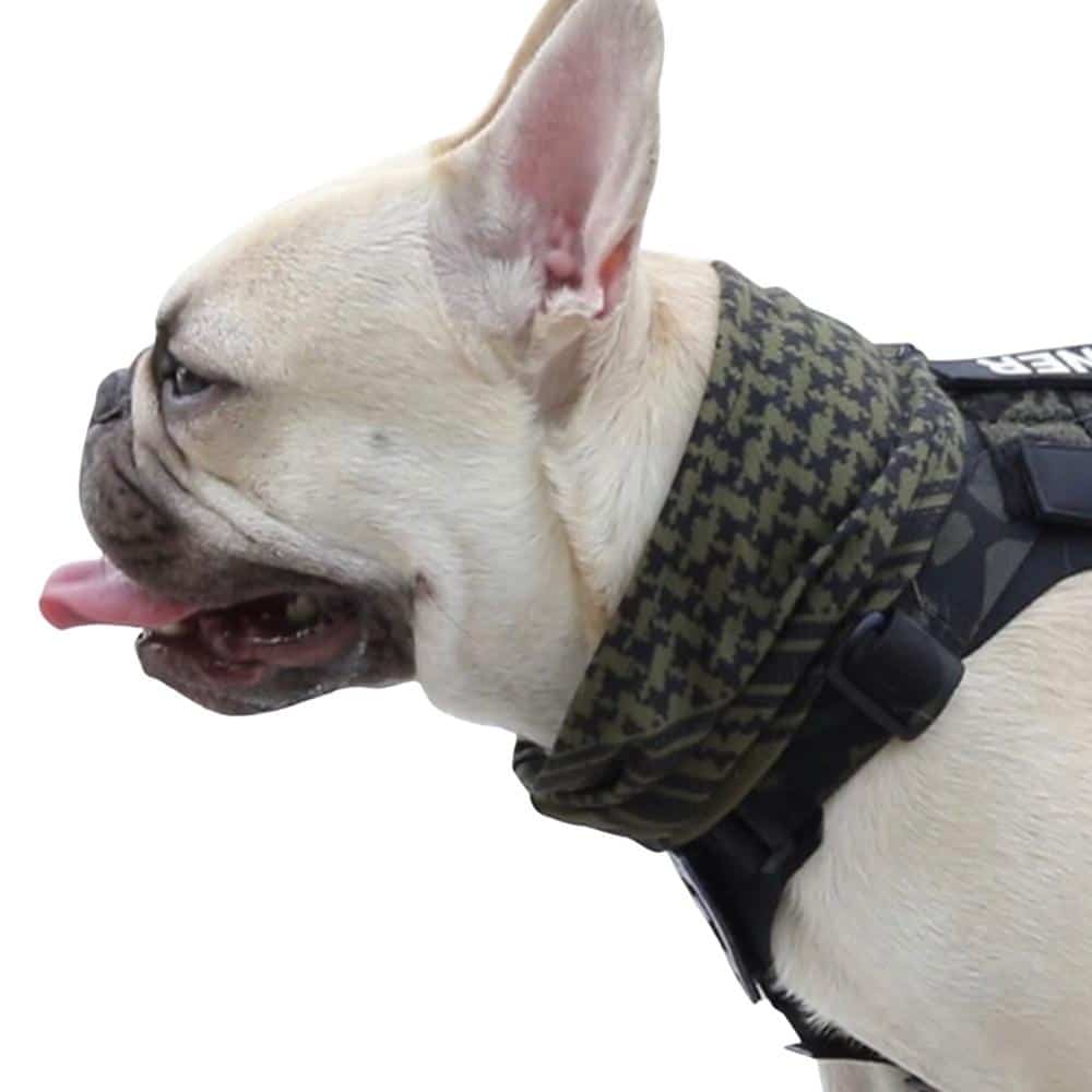 Cooling Shemagh Scarf – TANK TINKER