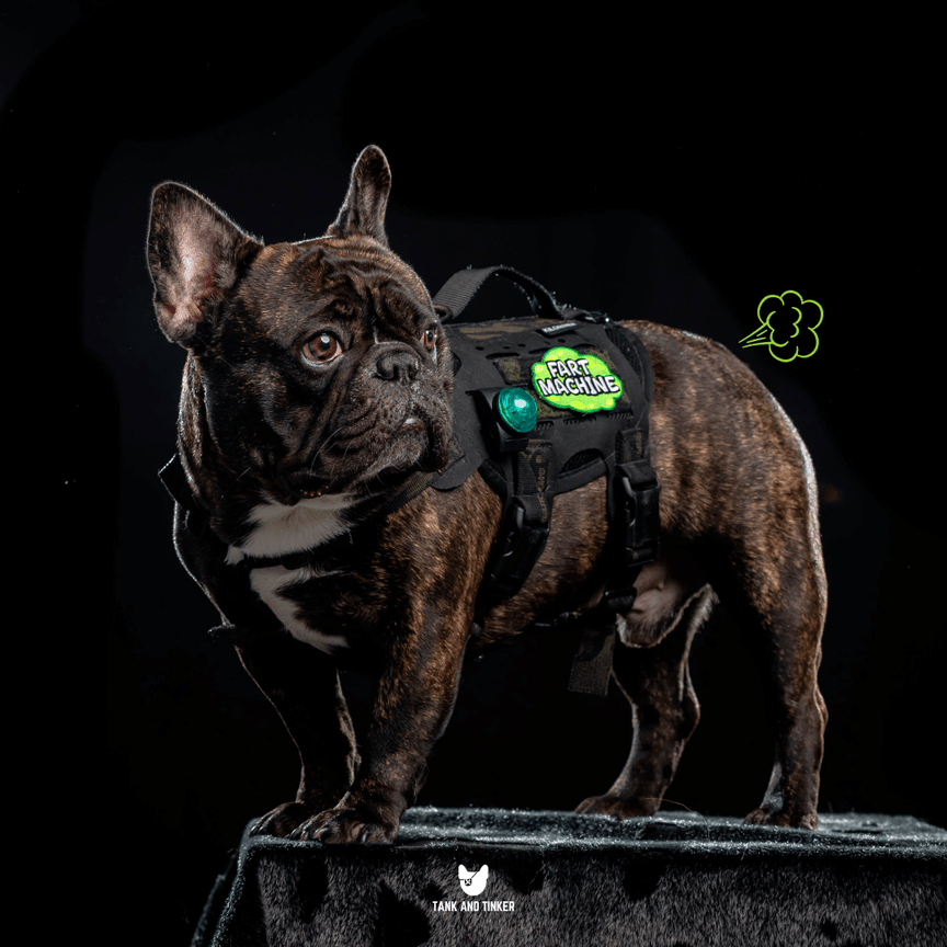 ป้ายติดชุดตีนตุ๊กแก Fart Machine Morale Patch – TANK TINKER